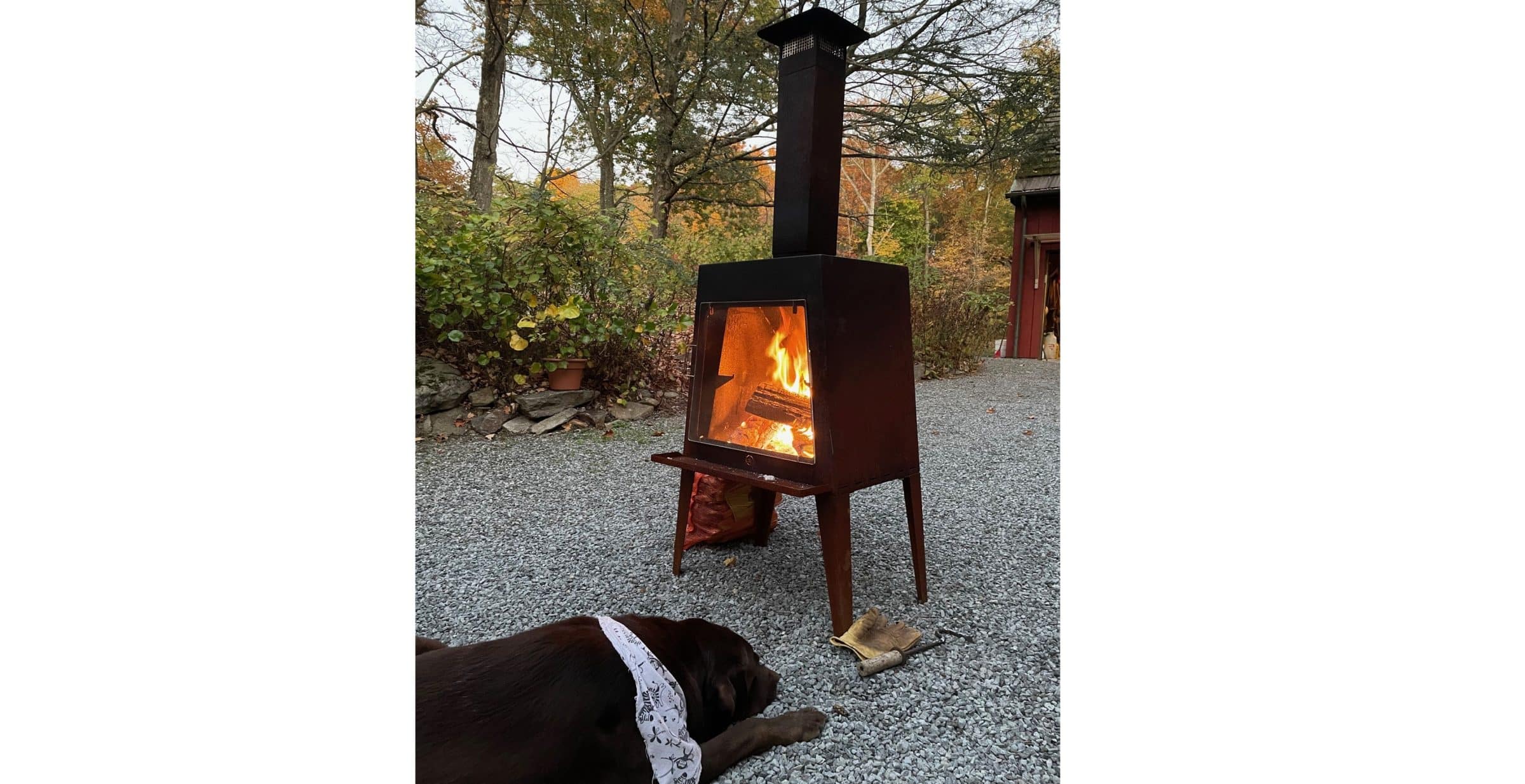 May/June Newsletter – WITTUS | Fire by Design